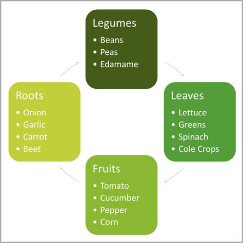 Crop Rotation In The Vegetable Garden Yard And Garden