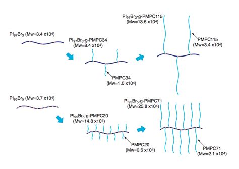 Modern Synthesis And Thermoresponsivity Of Polyphosphoesters Intechopen