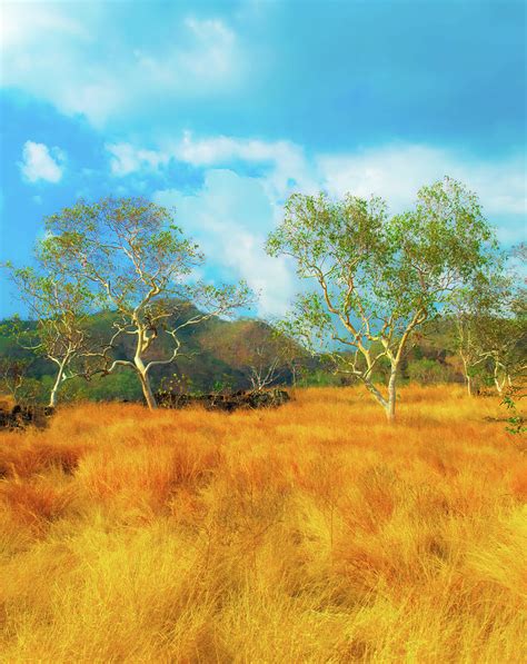 The Breeze Photograph By Arif Fajar Fine Art America