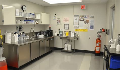 What Is Biosafety Level 2 Bsl 2 An In Depth Overview