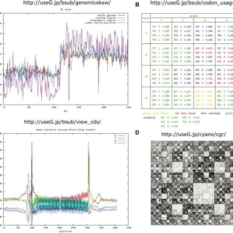 Examples Of Graphical Analysis Results A GC Skew Graph Calculated In Download Scientific