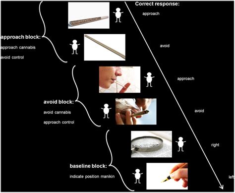 Schematic Representation Of The Stimulus Response Compatibility