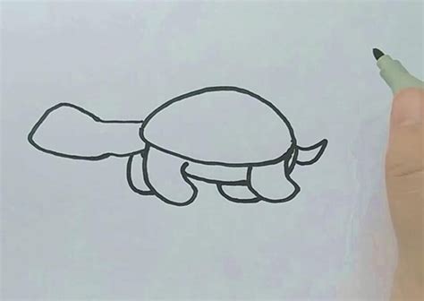 乌龟简笔画 天奇生活