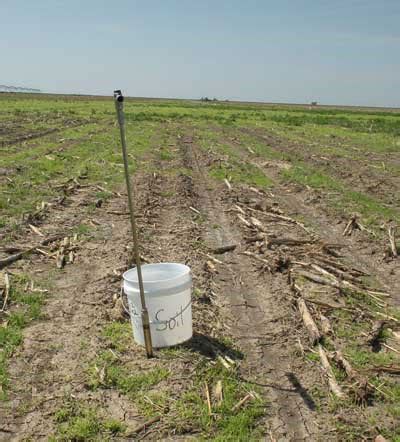 Agronomy EUpdate September 8th 2022 Issue 923