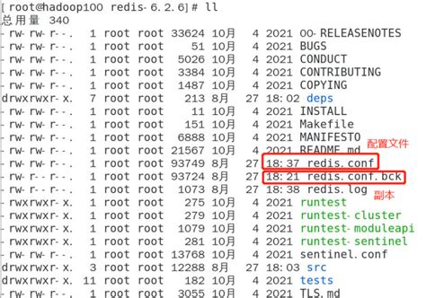 基于Linux环境安装Redis 超详细 阿里云开发者社区