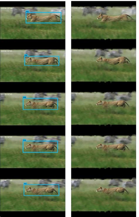 Figure 7 From Multiple Object Recognition With Focusing And Blurring