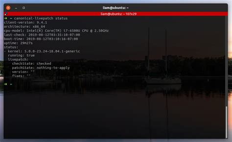 Ubuntu 18043 Lts桌面整合livepatch服务 Ubuntu