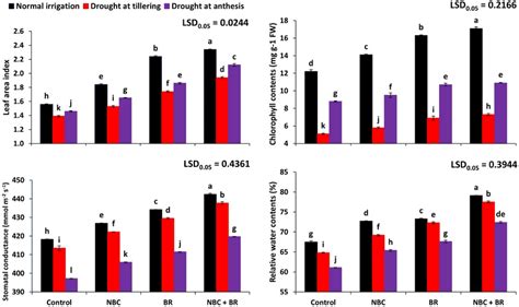 Effect Of Nano Biochar Nbc And Brassinosteroids Br On Wheat Leaf Download Scientific