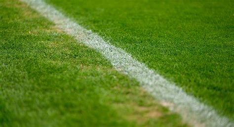 Saudiska Fotbollssupportrar Dömda Till Fängelse För Ramsa