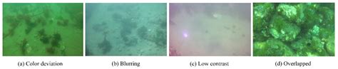 Image Fused Guided Underwater Object Detection Model Based On Improved