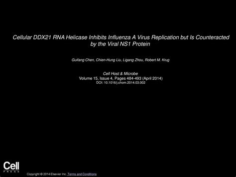 Cellular Ddx21 Rna Helicase Inhibits Influenza A Virus Replication But