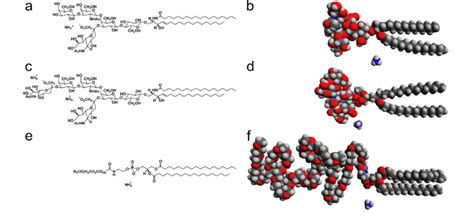 Chemical Structures And Space Filling Cpk Models Of The Molecules Gm1 Download Scientific