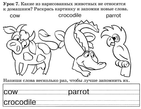 Книжка-раскраска для изучения английского языка