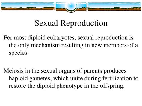 Sex Determination Ppt Download