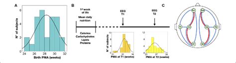 Summary Of The Study Protocol And Electroencephalography EEG Download Scientific Diagram