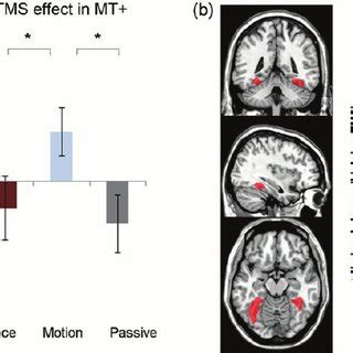TMS Effect On Performance And Its Relation To TMS Effects On BOLD In Download Scientific
