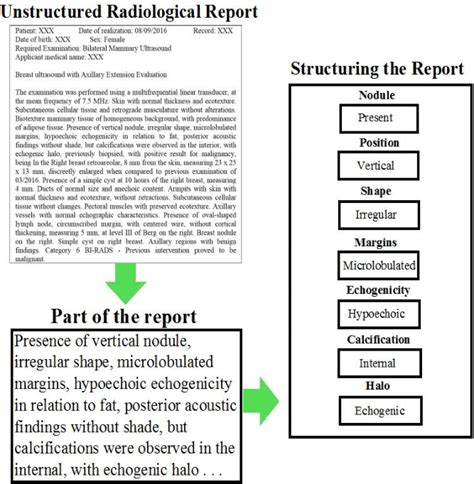 Structured Data And Report Information Download Scientific Diagram