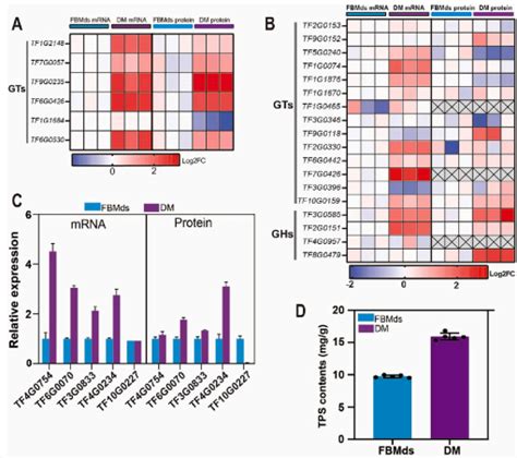 【派森诺多组学项目文章】if 8 2！真菌基因组denovo测序 转录组分析助力银耳基因组特征研究 知乎
