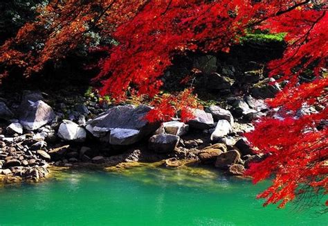 四川九寨溝旅遊實用地圖 每日頭條