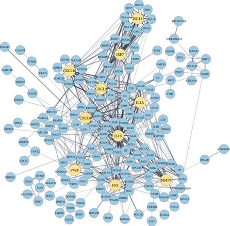 Hub Proteins From PPI Analysis Where The Cyan Color Nodes Are Proteins