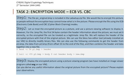 Solved Task 2 Encryption Mode Ecb Vs Cbc Step 1 The File 1 Answer Transtutors