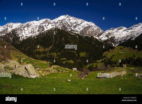 Pico Posets Hi Res Stock Photography And Images Alamy