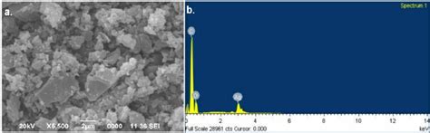 Scanning Electron Microscopy Sem And Energy Dispersive X Ray Edx