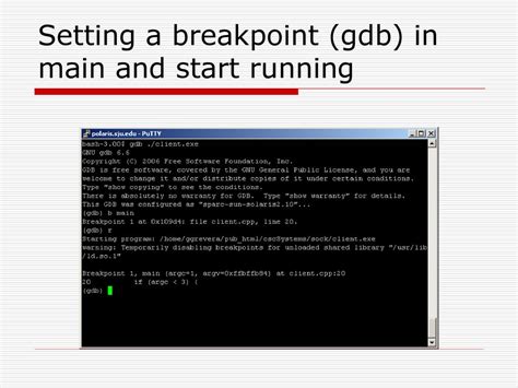 Debuggers Ppt Download