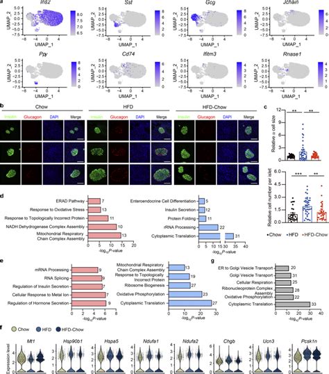 Additional Details Of Scrna Seq Analysis A Scrna Seq And Umap Download Scientific Diagram