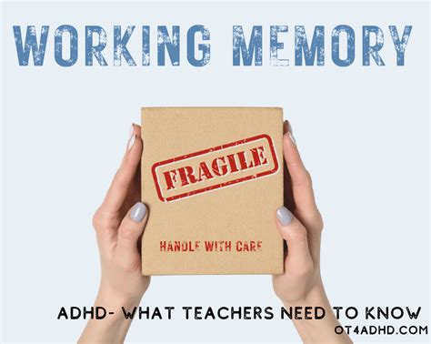 Working Memory The Key To Unlocking Potential In Learners With Adhd Ot4adhd