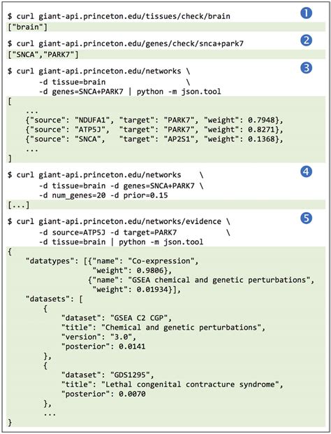 Exploring Functional Networks Using Giant Api Labeled Commands Download Scientific Diagram