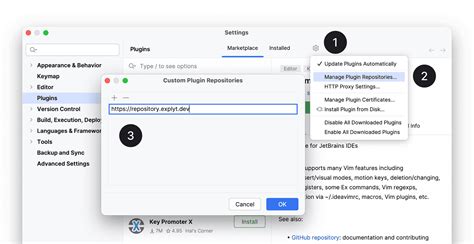 Скачивание установка и запуск плагина Explyt