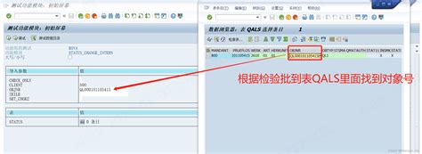 Sap 检验批状态修改（qa32质检放行报错：bs002 不允许 “访问使用决定“ Inl 101105415 ）sap Qa32 Csdn博客
