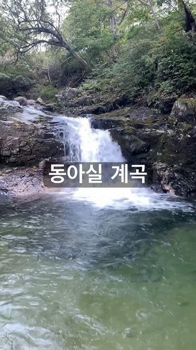 강원도 인제 동아실 계곡의 시원한 물소리 동아실계곡 인제여행 계곡 자연의소리 Asmr 캠퍼세븐 Youtube