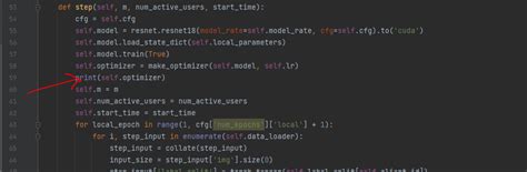 Bug For Client Optimizer Issue AIoT MLSys Lab FedRolex GitHub