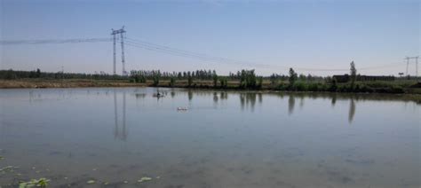 山东省德州市德城区130亩坑塘水面出租 聚土网