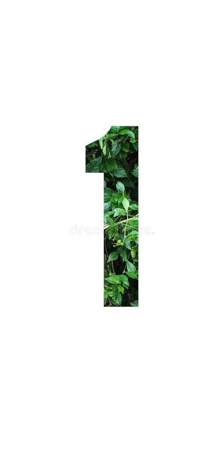 Design Number With Leaf Texture On White Background Stock Image Image Of Minimal Graphic