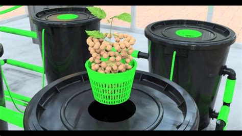 Best Dwc Hydroponic System Deep Water Culture [2025 Reviews]