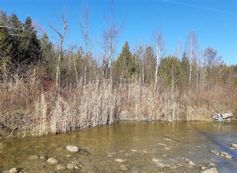 Password Expiring Email Notifications For Snowflake Users By Feng Li Medium