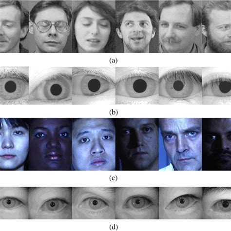 multimodal biometric databases a d orl casiav1 0 pie illum and download scientific
