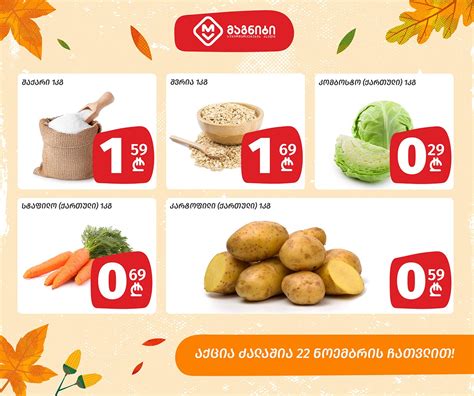 📣 ყველაზე ხელმისაწვდომი ფასები მაგნიტი • Magniti