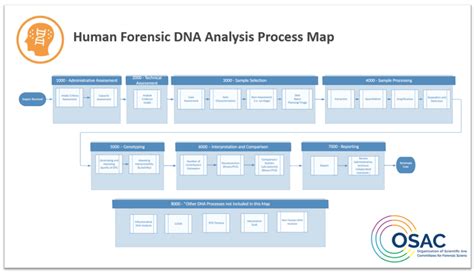 Osacs Human Forensic Biology Subcommittee Develops Dna Analysis Process Map Nist