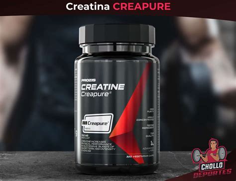Mejores Creatinas Creapure Todo Lo Que Debes Saber