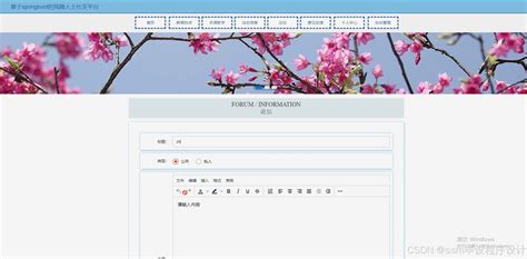 Springboot毕设 基于springboot的残障人士社交平台 程序论文基于spring Boot的残障人士服务平台系统的设计与实现