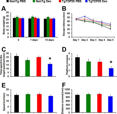 Dexamethasone Exacerbates Spatial Memory Deficits In Tgtdp 25 Mice A