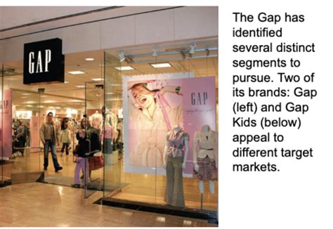 Marketing Chapter 6 Segmentation Targeting And Positioning Flashcards Quizlet