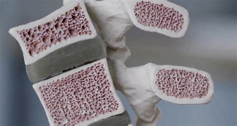 microlattice la structure métallique la plus légère au monde mycad