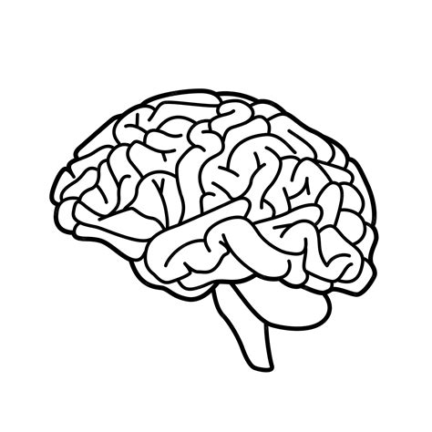 Premium Vector Brain Or Mind Side View Line Art Vector Icon For