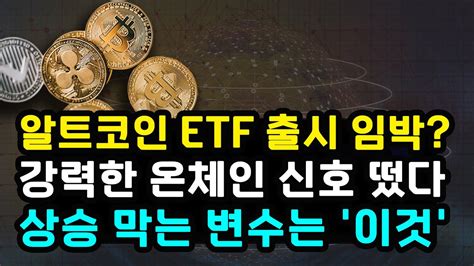 알트코인 비트코인 이어서 현물 Etf 등판할까 장기보유자 고래 온체인 시그널은 상승 가리키는 가운데 단기 조정 변수는 미중 무역협상 거시경제 이슈 이더리움 솔라나 리플