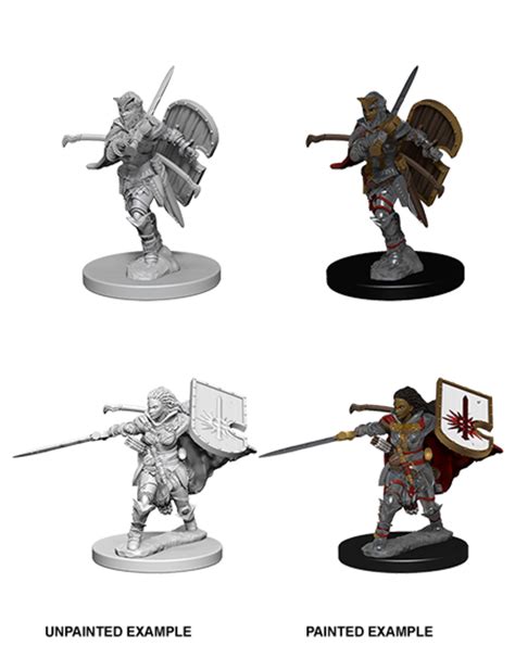 Human Paladin Dandd Human Paladin Dandd